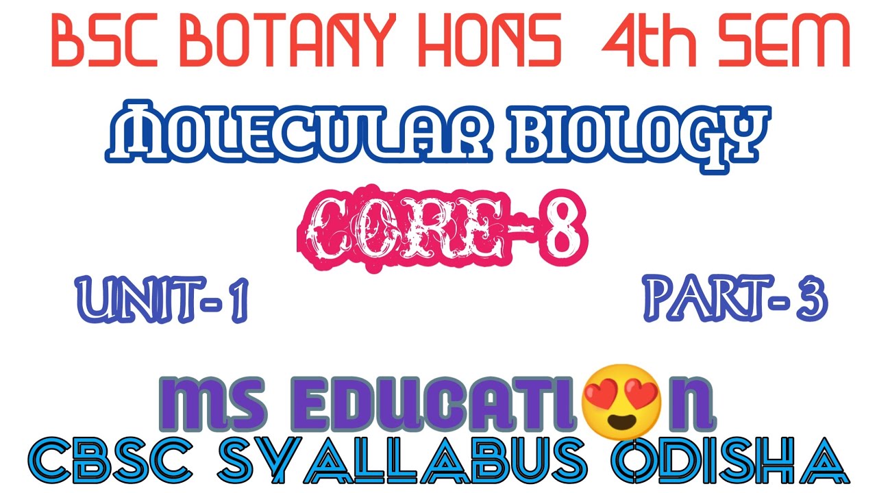 BSC BOTANY HONS 4th SEM| CORE-8| UNIT-1| PART-3| MOLECULAR BIOLOGY - YouTube
