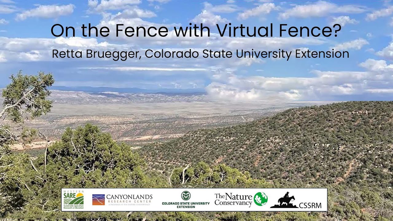 On the Fence with Virtual Fence - Using Virtual Fences to Improve ...