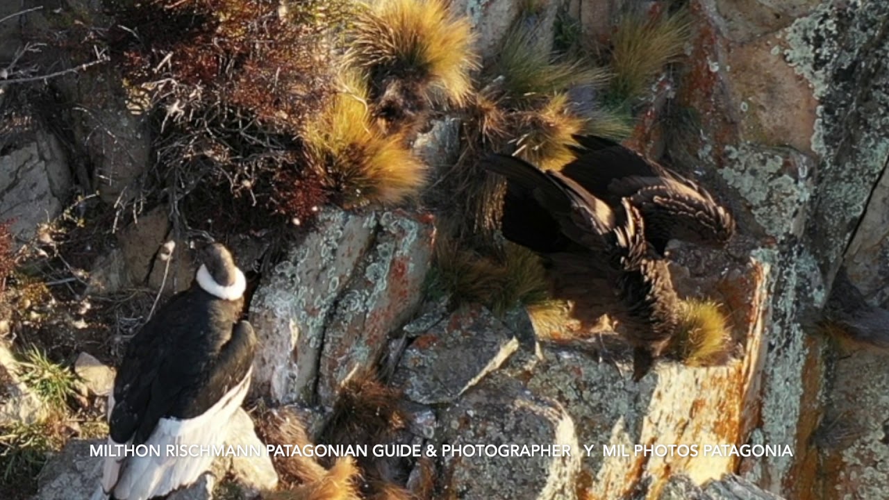 Nido del Condor - YouTube