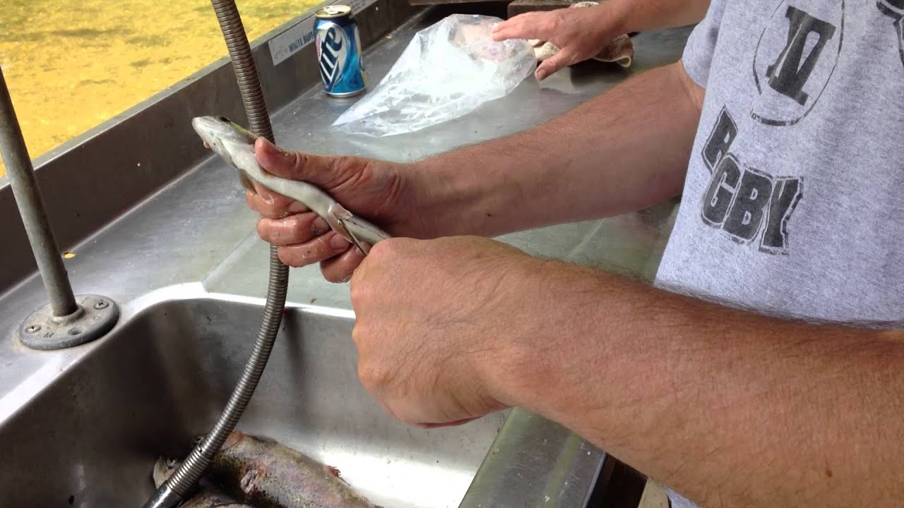 How to Clean Trout from the White Buffalo Resort - YouTube