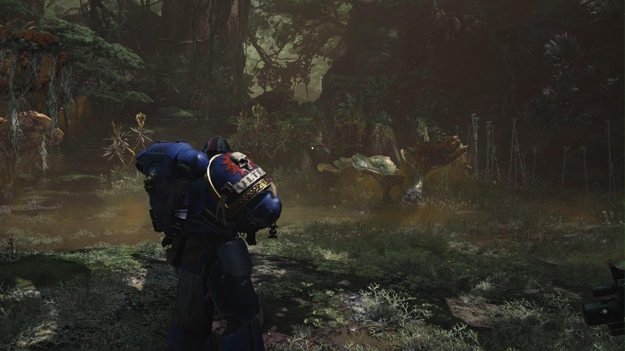 Warhammer 40000: Space Marine 2 x-wing in swamp? - YouTube