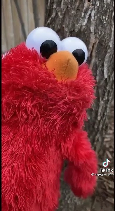 Elmo Tik Tok Youtube