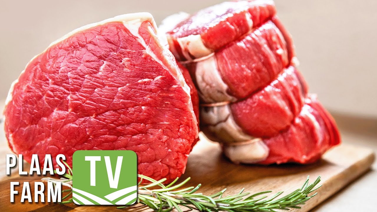 RPO praat oor China se verbod op SA rooivleis - YouTube