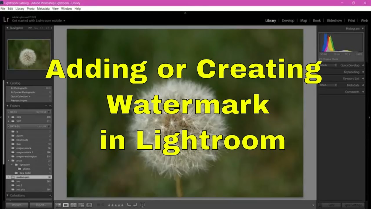 How To Create And Add Watermark In Lightroom YouTube how-to-create-and-add-watermark-in-lightroom-youtube