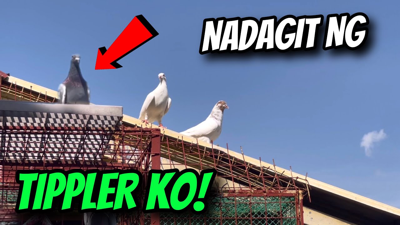 NAKACLUBRING KALAPATING NADAGIT NAMIN 😂 - YouTube