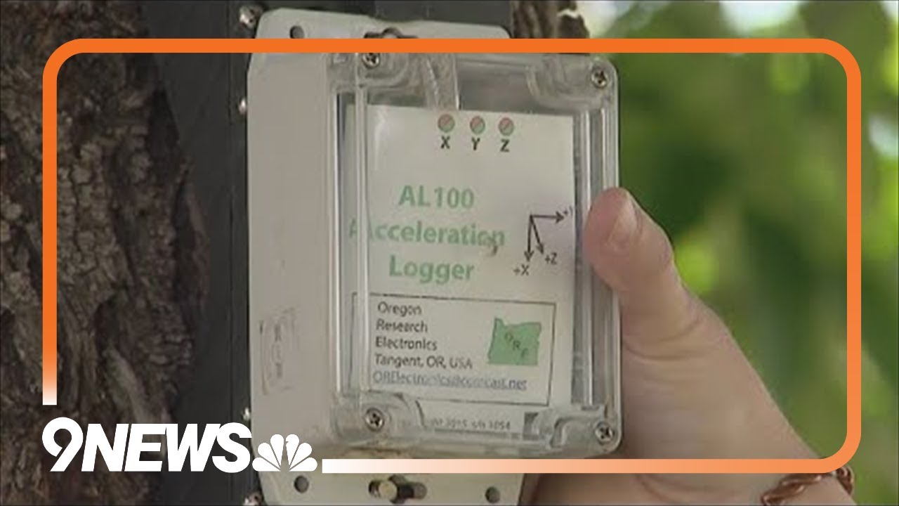 Researchers tracking tree health as the climate changes - YouTube