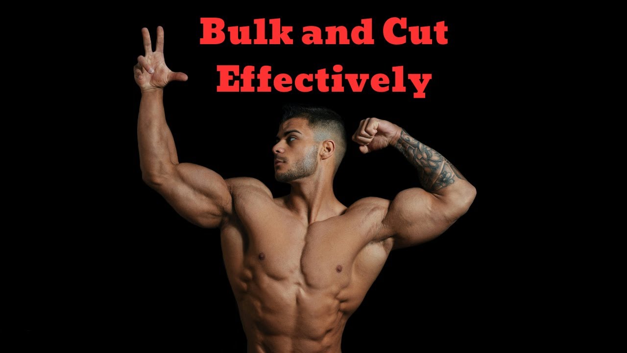 How to Bulk and Cut Effectively: A Comprehensive Guide to Building ...