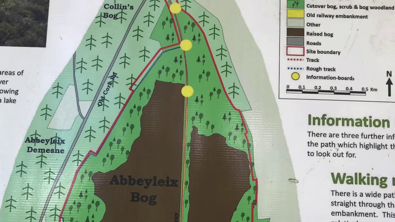 Killamuck Bog Walk - YouTube