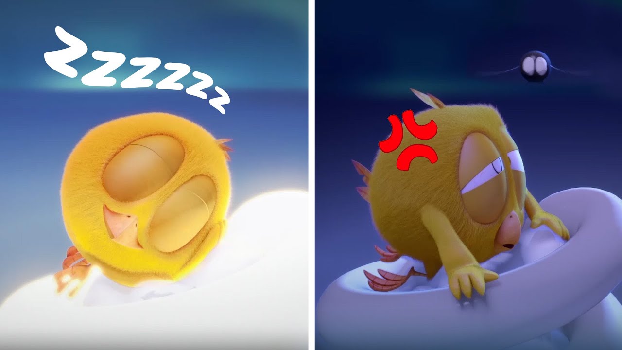 Where's Chicky? Funny Chicky 2023 | Get to sleep | Cartoon in English ...