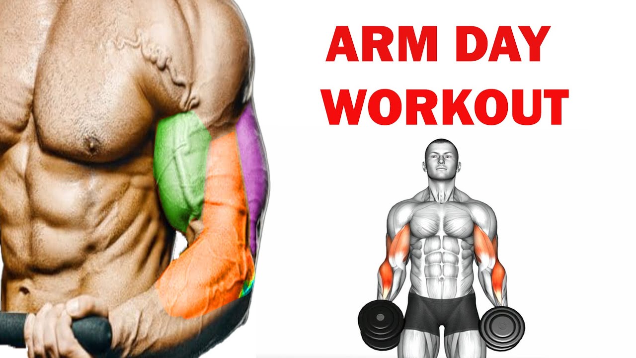 Arm Day Workout For Major ARM Growth 2023 - YouTube