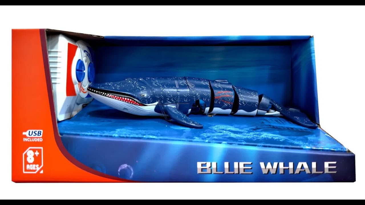 RC WHALE - YouTube
