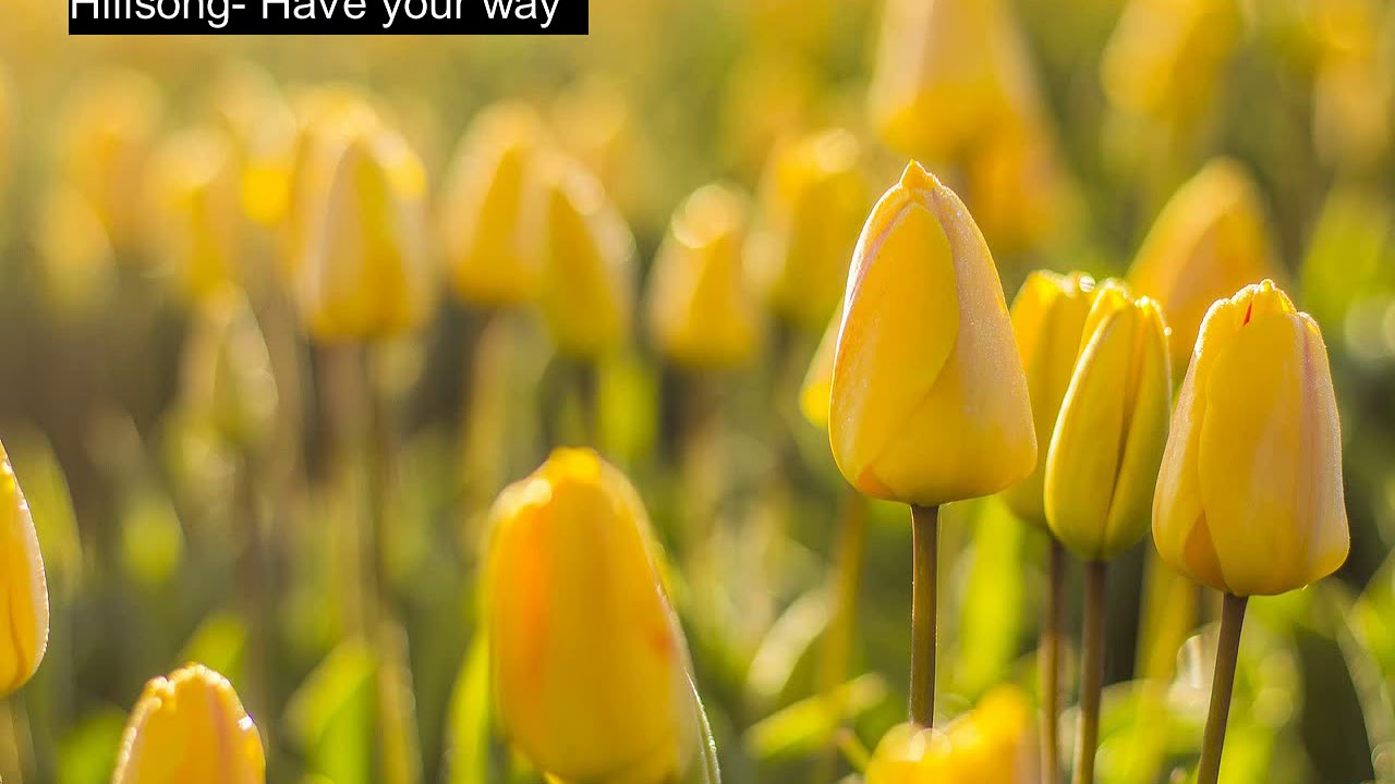 Hillsong Have Your Way Instrumental YouTube hillsong-have-your-way-instrumental-youtube