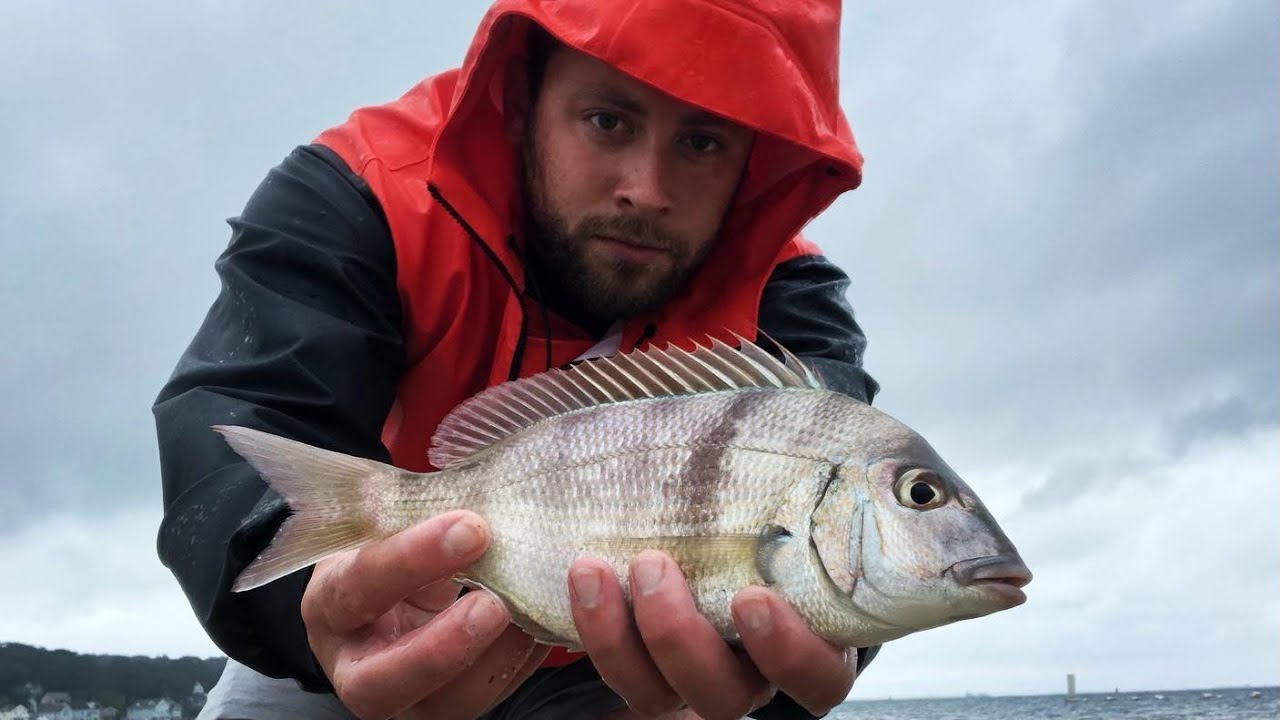 Surf Fishing Henri: Northshore Snapper Bluefish and Porgies - YouTube