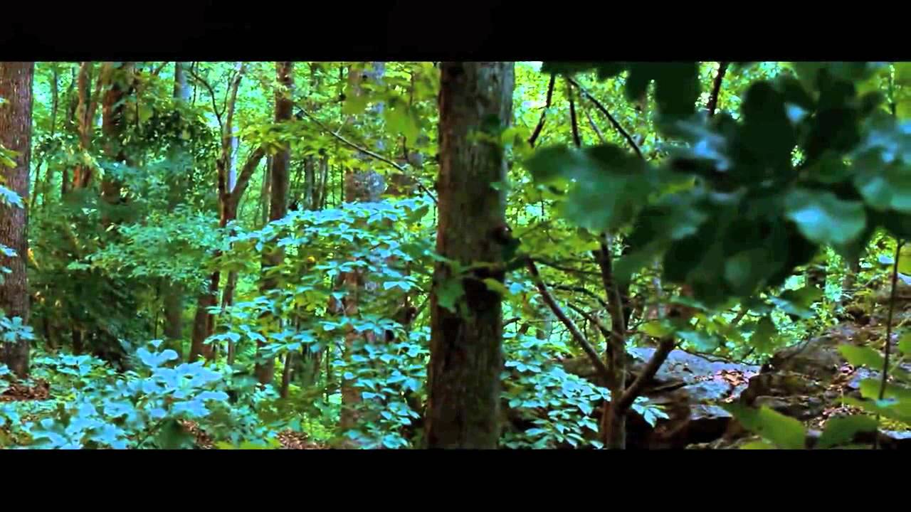 100 Days Of Hunger Games Book Club - Chapter 11 - YouTube