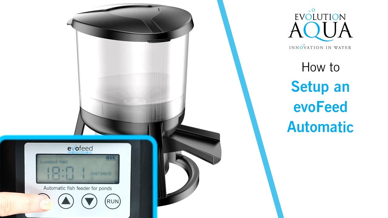 How to set up an evoFeed Automatic - YouTube