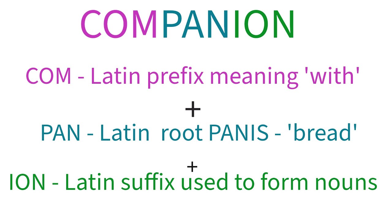 Companion - Original roots and meaning - YouTube