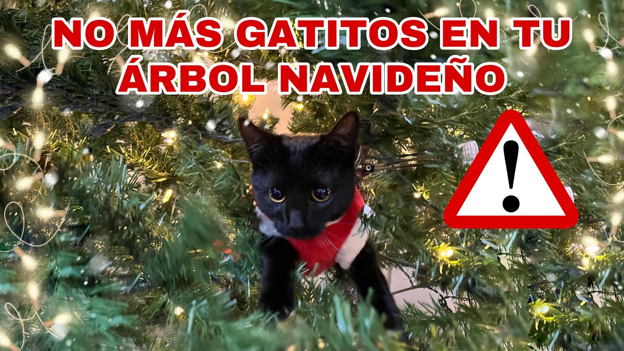 Spray Repelente para gatos de Nature’s Miracle en Petco - YouTube