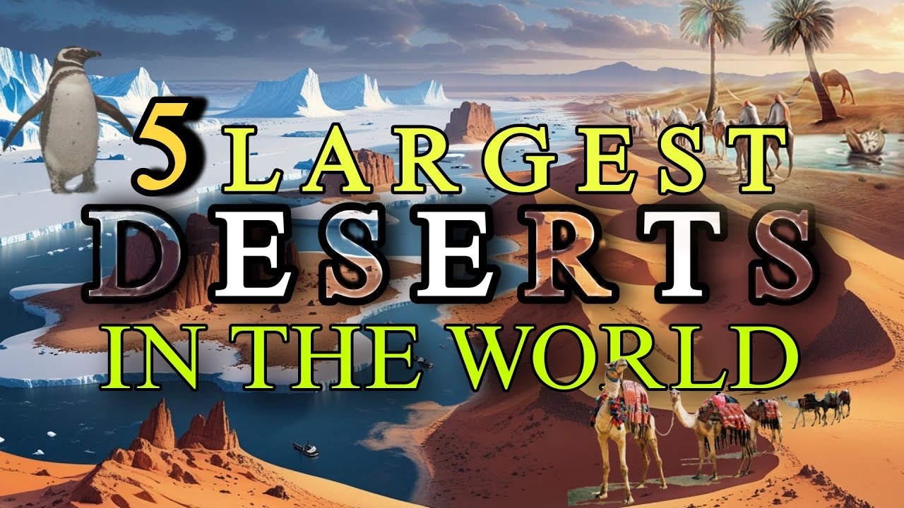 Top 5 Largest Deserts in the World | Amazing Desert Facts | MJ GS WORLD ...