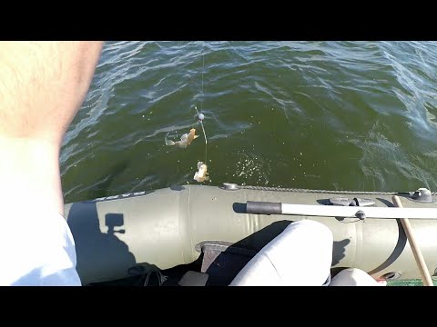 Снасть убийца бычка/Tackle killer bull-calf