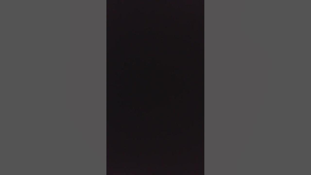 miss spide tea party musical - YouTube