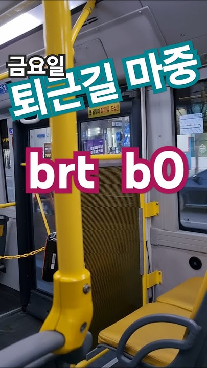 금요일 퇴근 마중 가는 길 #보통 집에서 걸어가는데 오늘은 버스로 #BRT bus B0 #청사 남측 #산업부 사거리 #250124 #세종시 - YouTube