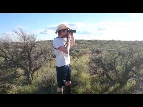 Manifesting Dreams: Summer of 2016