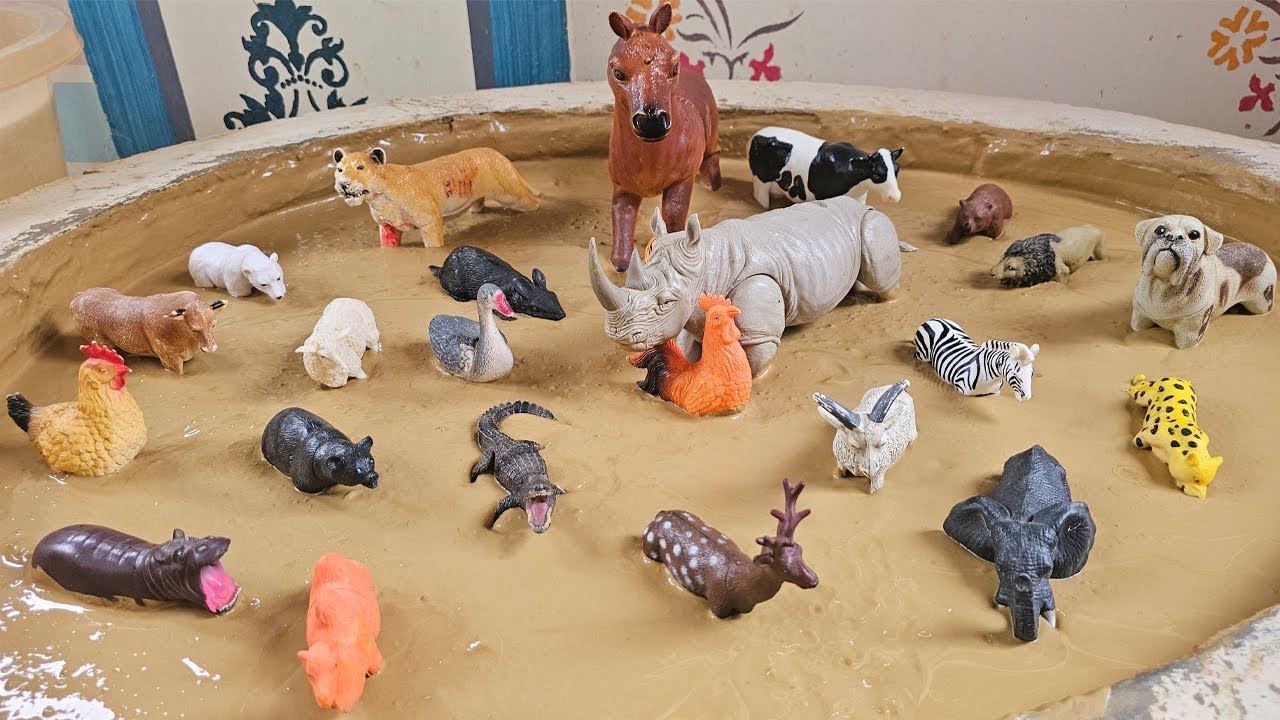 Savannah Safari & Cave Explorers: When Savannah Animals Meet ...