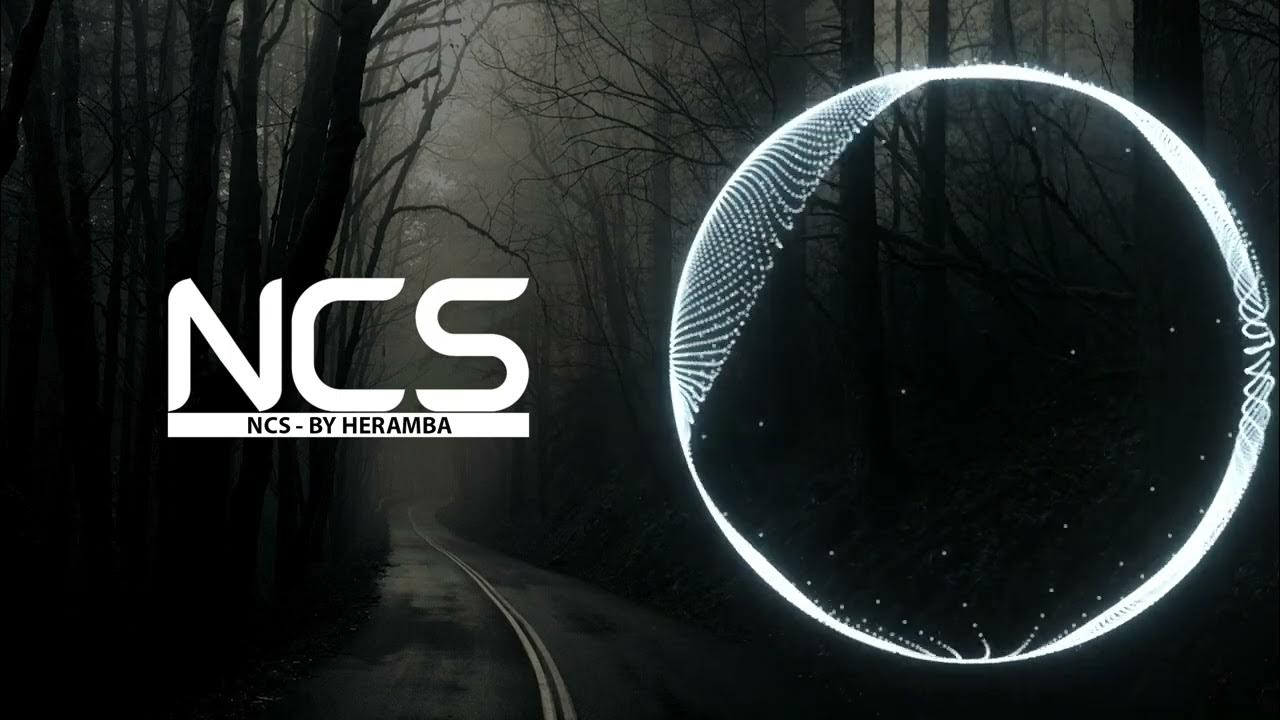 RIOT & Sippy - Pump Up The Bassline | Dubstep | NCS - Heramba - YouTube