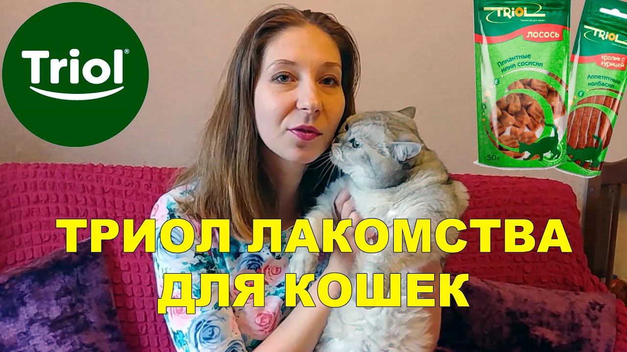 ТРИОЛ ЛАКОМСТВА ДЛЯ КОШЕК | ДЕГУСТАЦИЯ ЛАКОМСТВА TRIOL ДЛЯ КОШКИ - YouTube