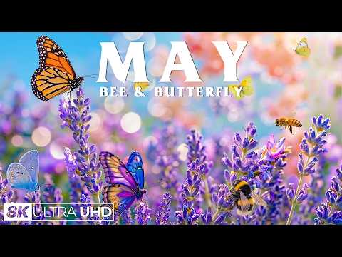 Springtime Splendor 4K | Gentle Bees & Blooming Flower Paths 🌸 A Quiet Spring Awakening