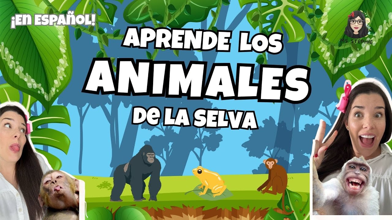 Animales de la Selva 🐒 Aprende con Ms. Stephie 🌴 Letras Y Tamaños ...