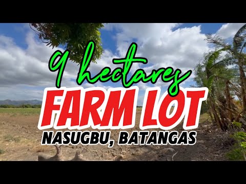 Nov-340 farm lot 9 hectares ideal for housing projects , private farm ...