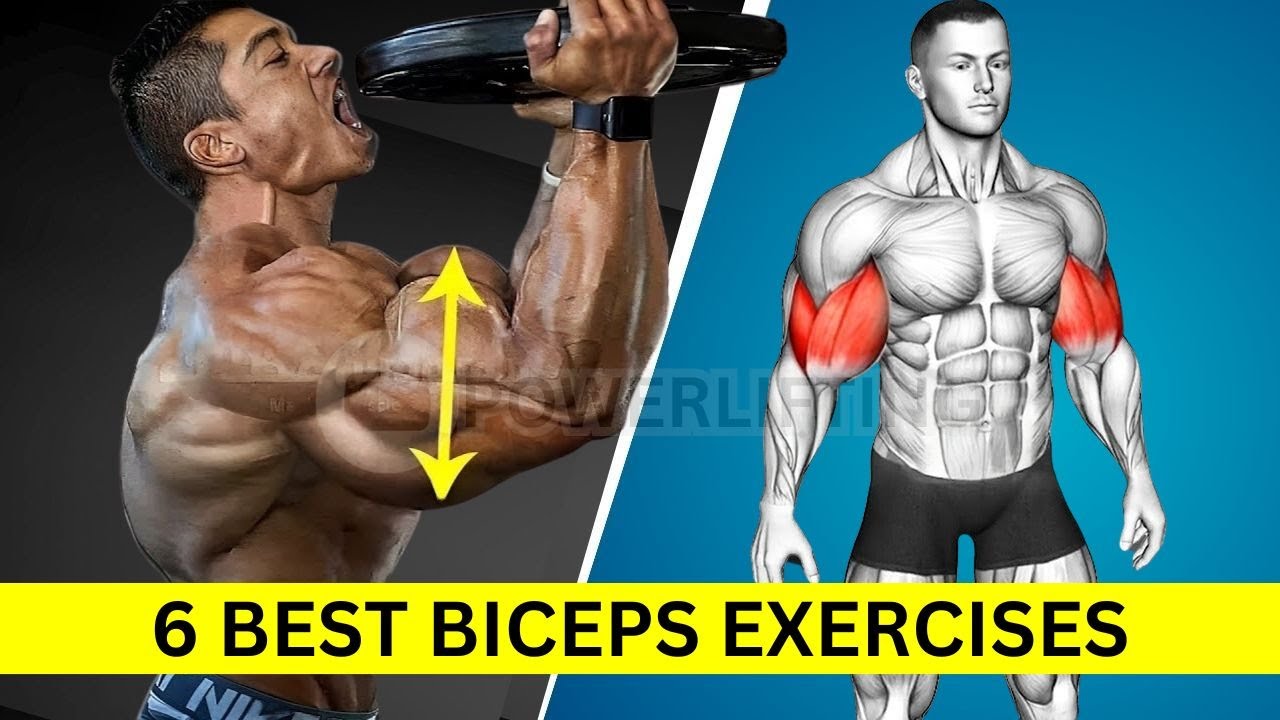 6 Biceps Exercises to Grow Your Arms in 25 Days - YouTube