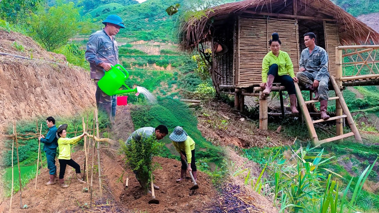 Full video 100 days of building a new farm | build bamboo house, live ...