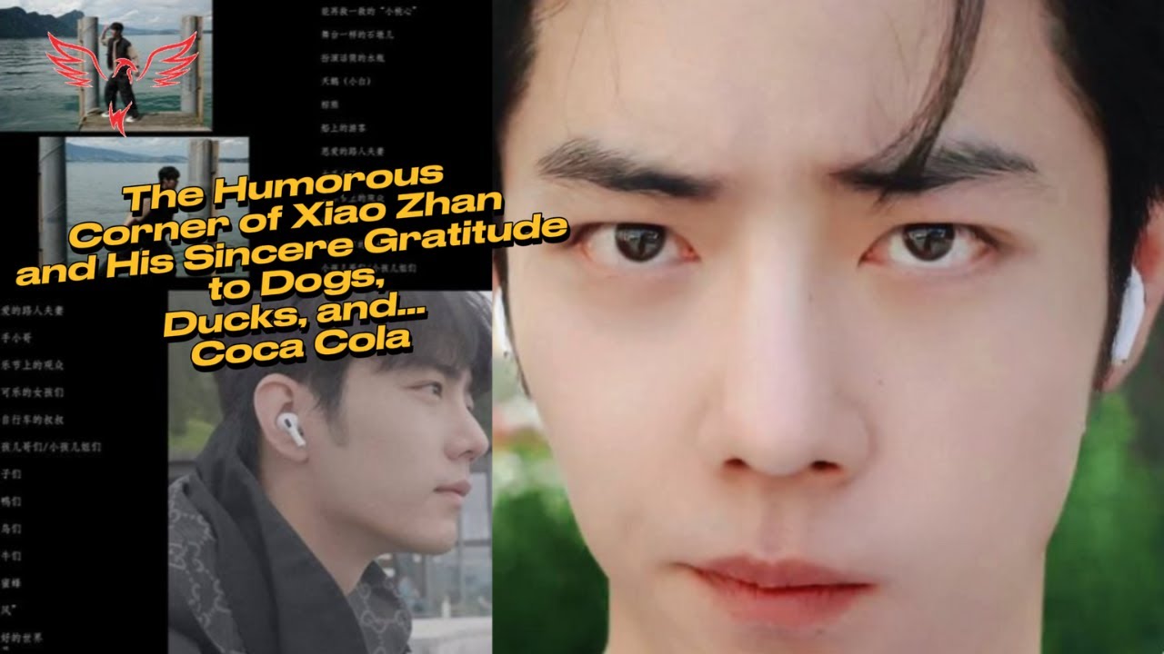 The Humorous Corner of Xiao Zhan and His Sincere Gratitude to Dogs ...