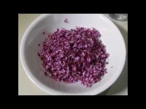Red bud jelly made from red bud flowers - YouTube