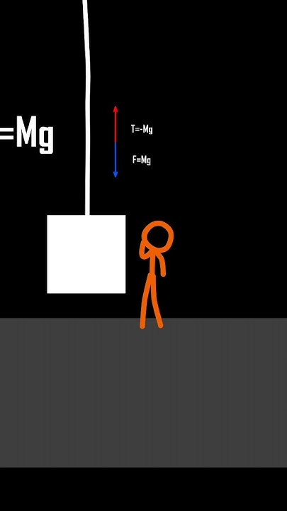 Animation vs physics 2| fan-made ‎@Octovex @alanbecker - YouTube