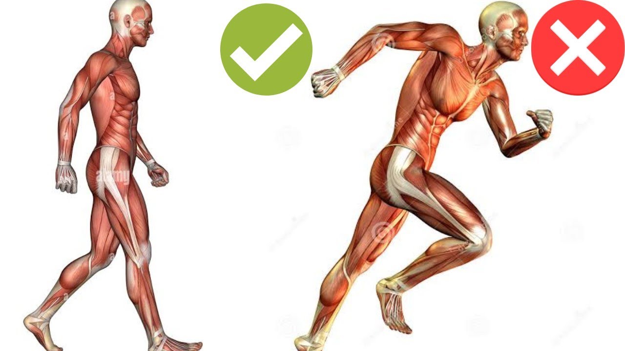 Why Brisk Walking Beats Running Everytime - YouTube