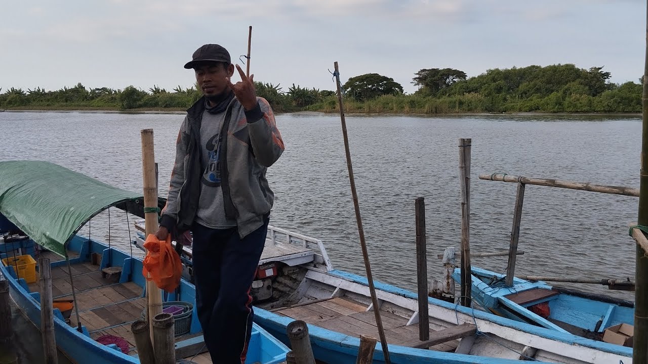 Mancing Baramundi Di Muara Bengawan Solo Ujungpangkah 🎣🎣 - YouTube