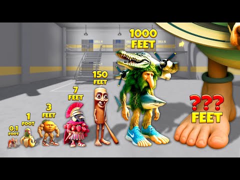 HEIGHT EVOLUTION: TRIPPI TROPPI, ABONONO SCHIMPAZINONO - All Italian Brainrot in BARRY'S PRISON RUN!