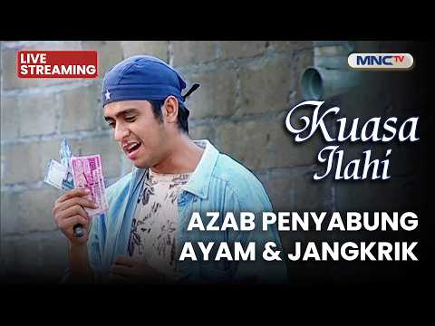 🔴AZAB PENYABUNG AYAM & JANGKRIK | LIVE KUASA ILAHI | 7 MEI  2026