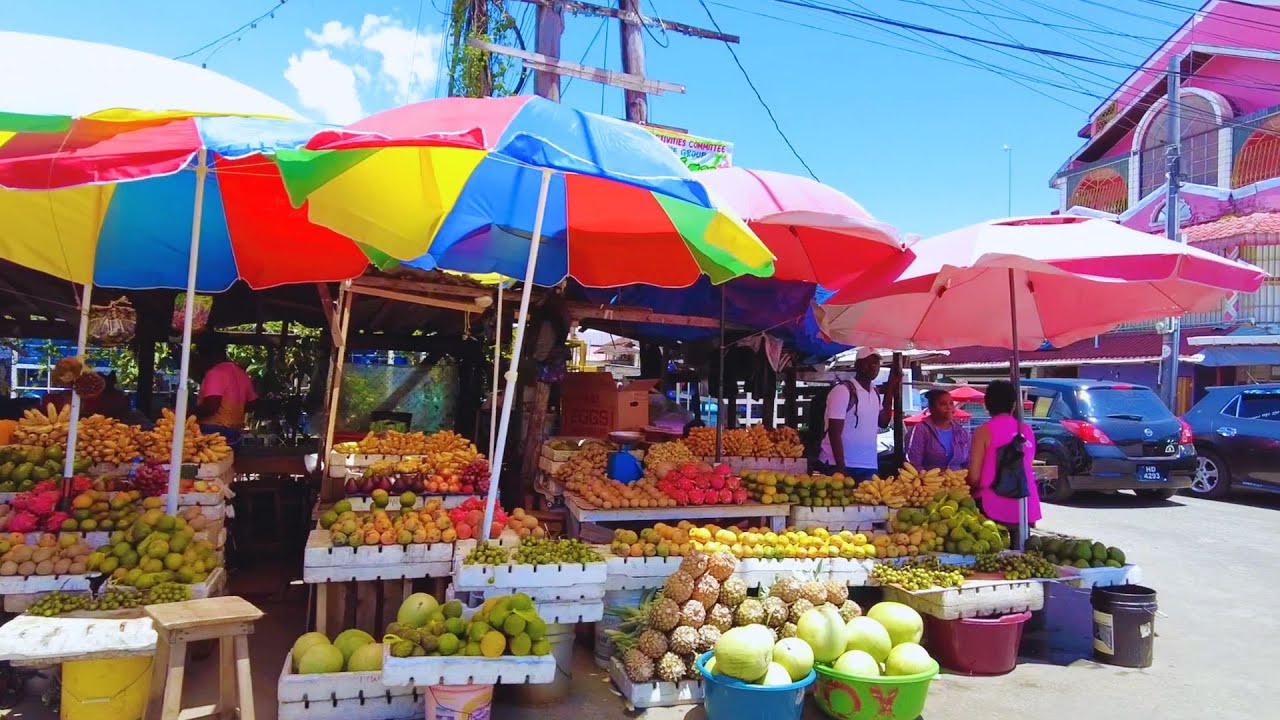 West Coast Demerara - Ruby Village To Meten Meerzorg 🇬🇾 GUYANA 2023 ...