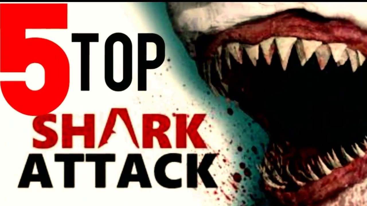 Top 5 Shark attack games for Android & IOS in 2018 - YouTube