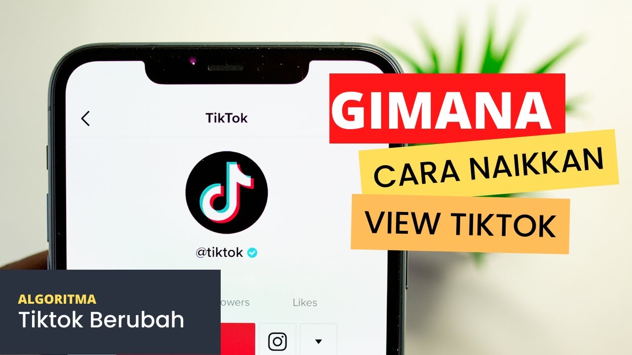 Cara Menaikan View Live di Tiktok - YouTube
