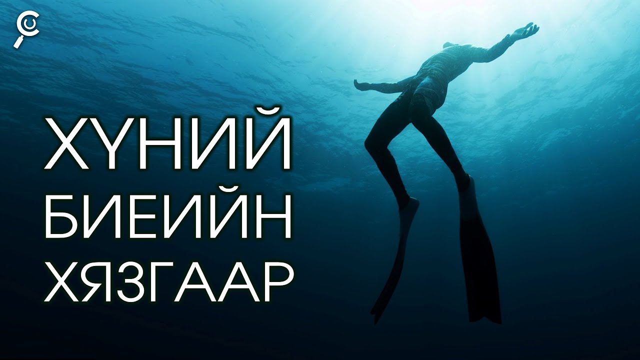 ХҮНИЙ БИЕИЙН ХЯЗГААР Youtube