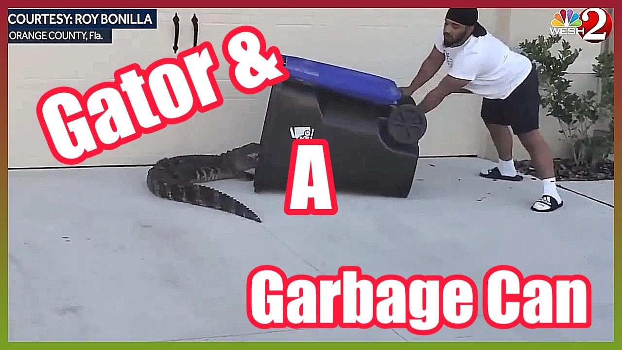 FR Reacts: To Gator Garbage Can Capture - YouTube