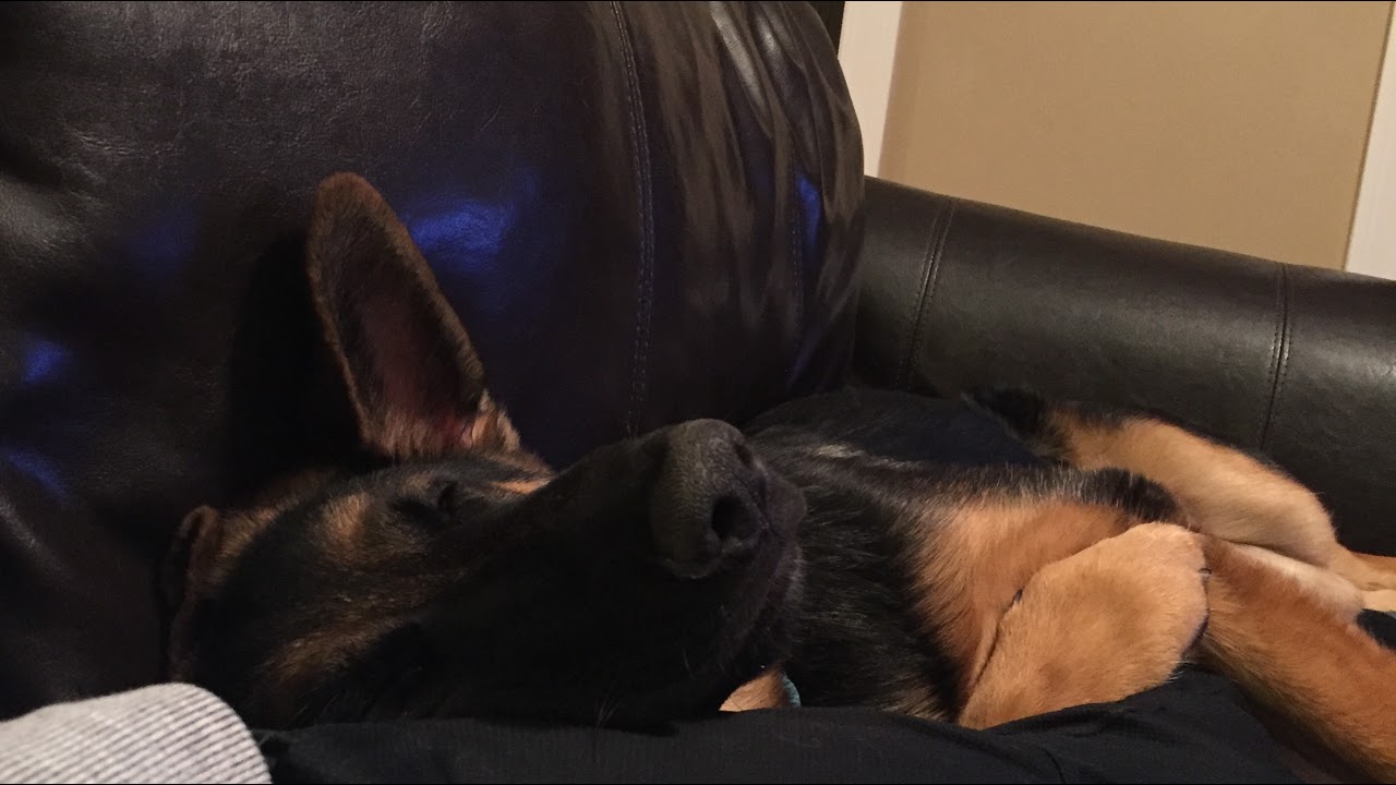 Live on gtag joining codes - YouTube