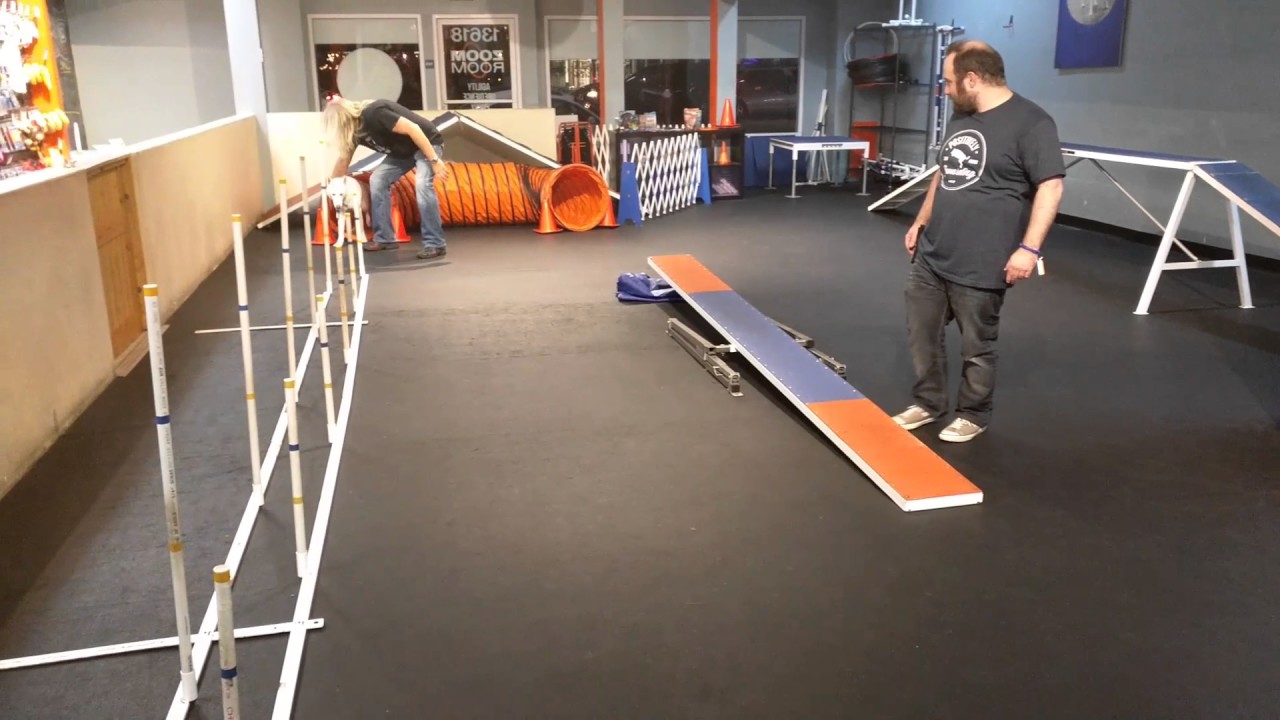 Zoom Room Agility Class - YouTube