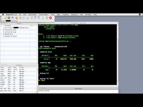 Stata- Introduction to the Interface - Part 1 - YouTube