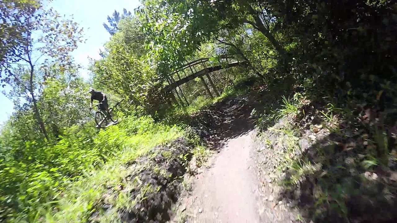 Markham Park- Parte 1 Mayo 17, 2020 - YouTube